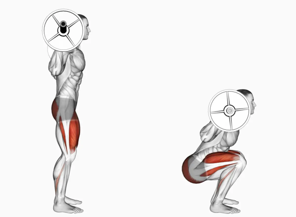 Exploring Squat Muscle Activation Patterns