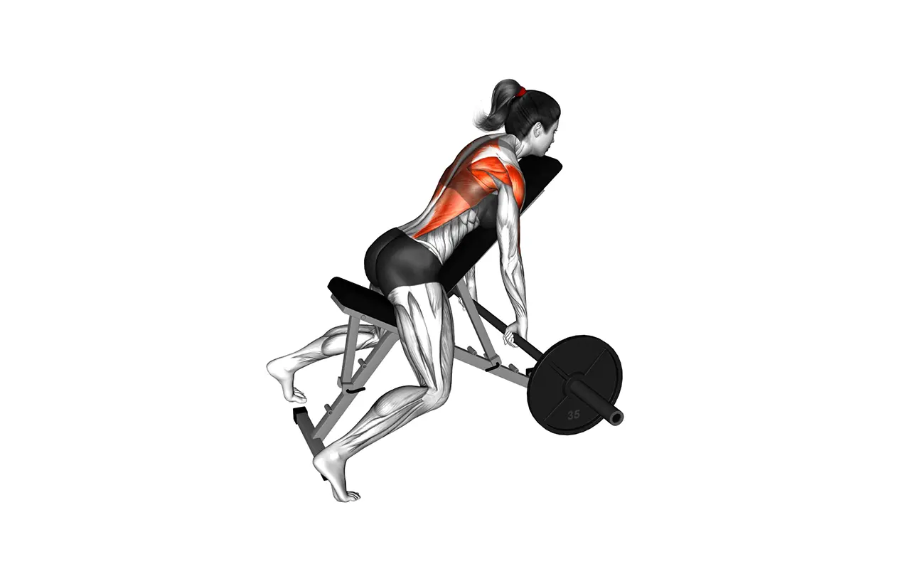 Beginner's Guide to the Supported Barbell Row