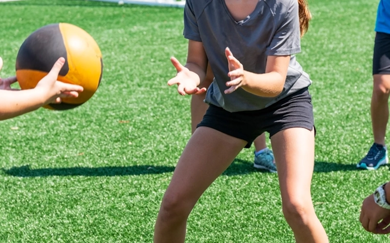 Understanding the Components of Motor Behavior