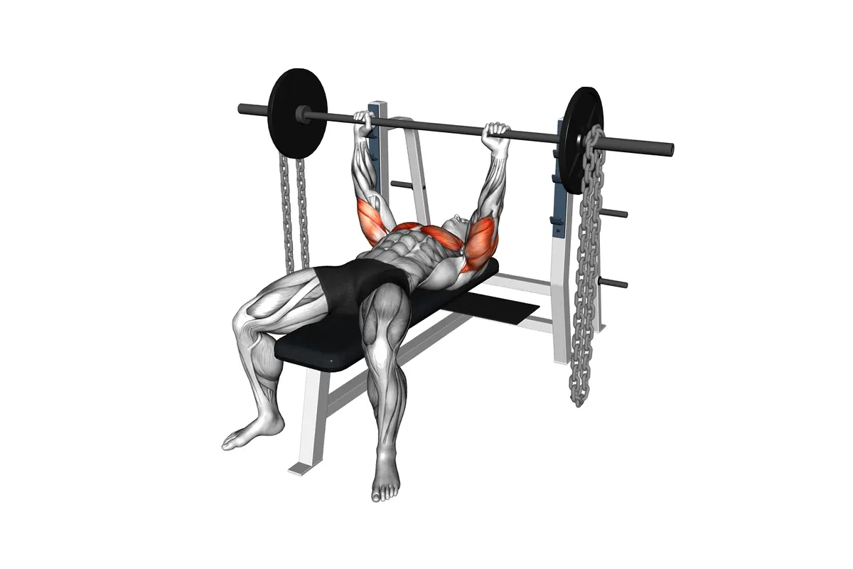 Bench Press with Chains: Benefits and Techniques Explained