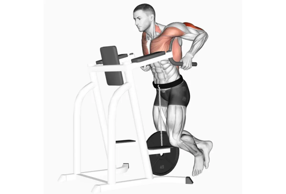 How to Do Tricep Dips: Tips for Bar Dips