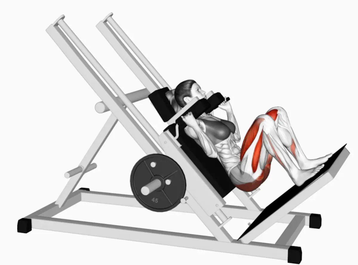 Beginner's Guide to the Hack Squat