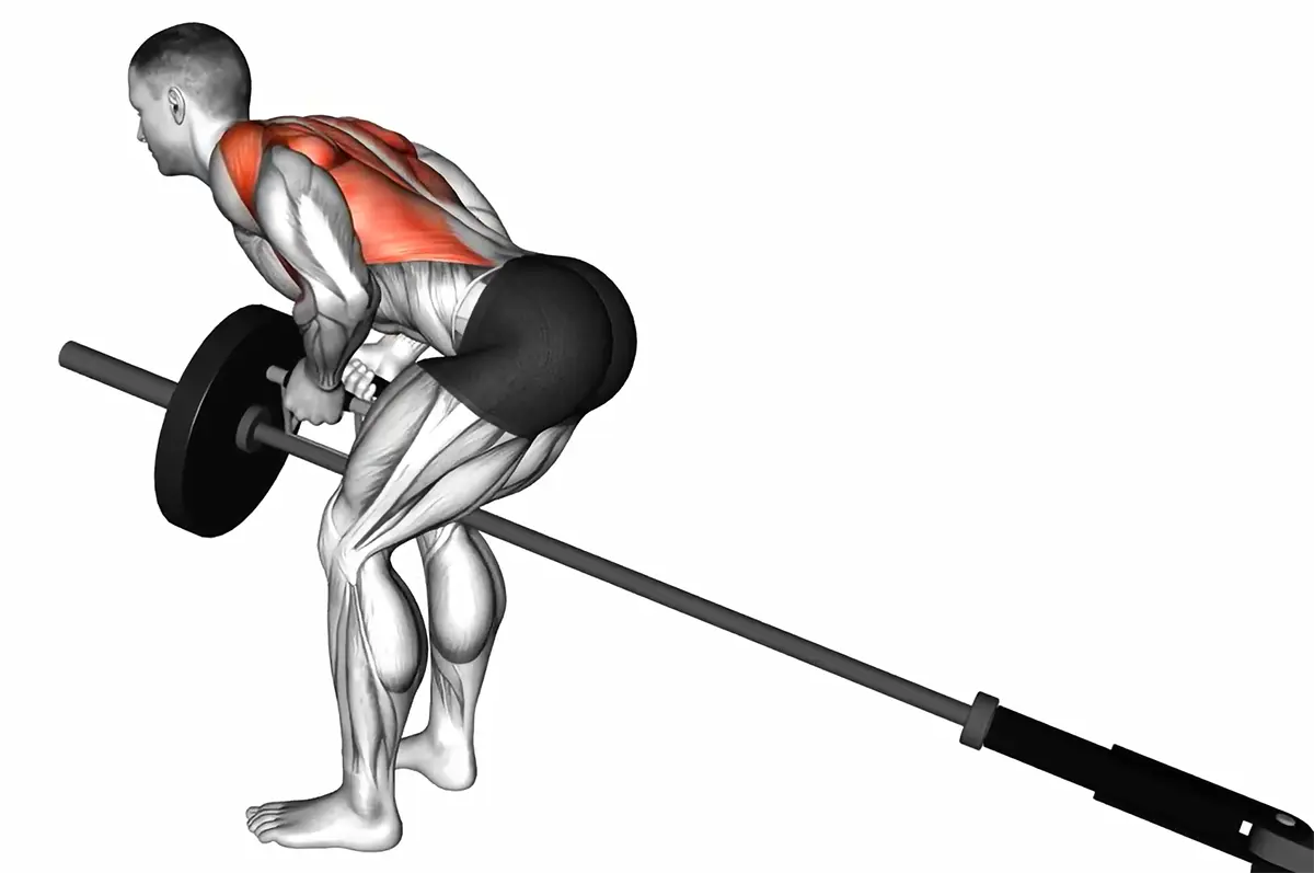 How to Perfect Landmine Row Form for Back Gains