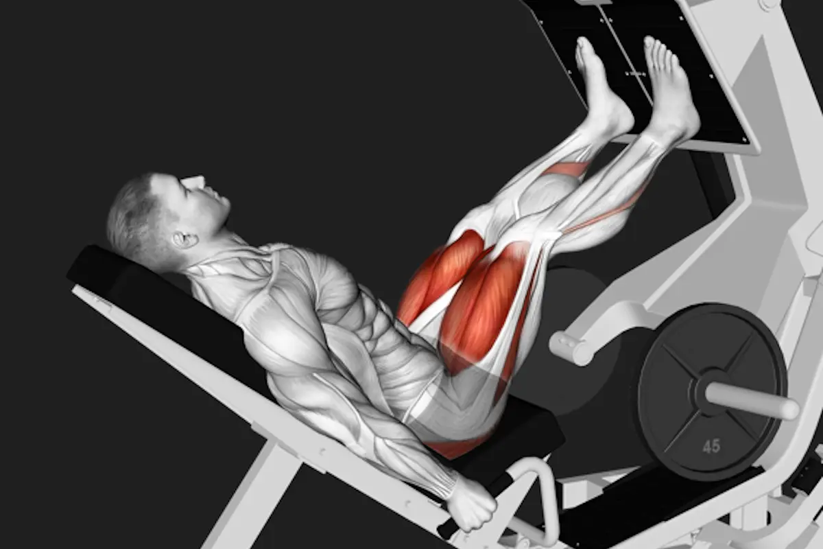 Leg Press Machine Muscles Worked Leg Press Vs Leg Extensions: 3 Major