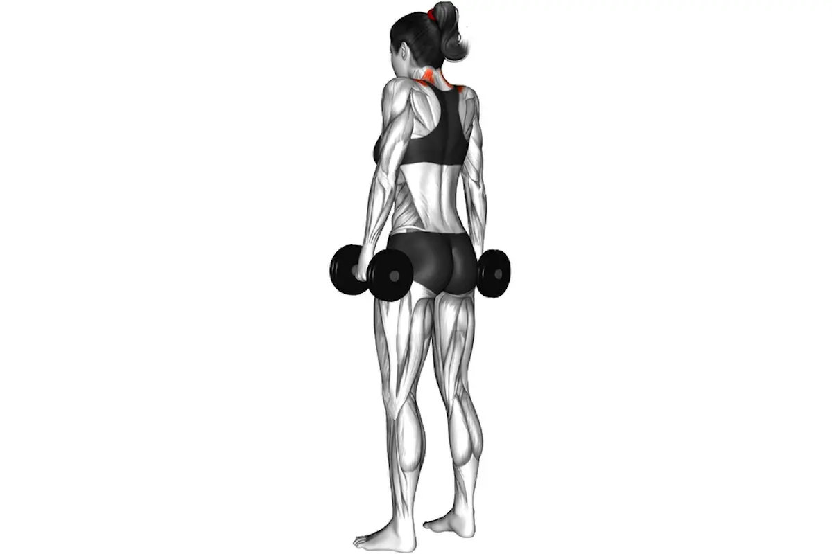 Beginner's Guide: How to Do Shrugs for Stronger Trap Muscles